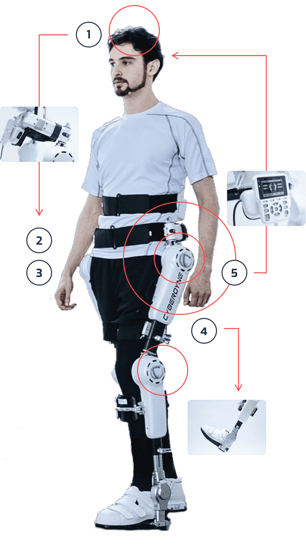 HAL senses bio-electrical signals and complete intended motion of ...